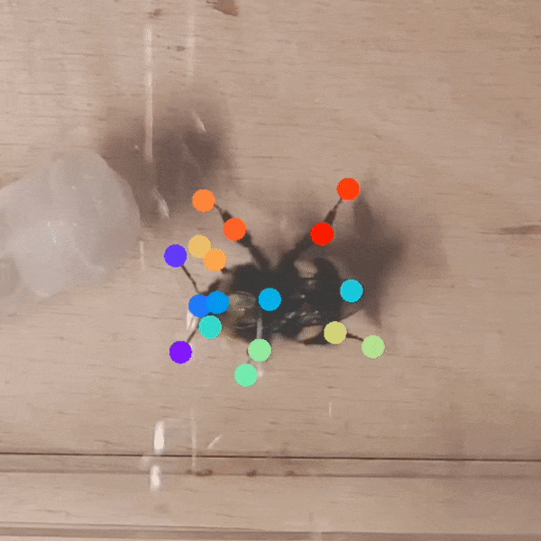 Kenneth Chow - Welcome | Employing deep learning to capture and ...